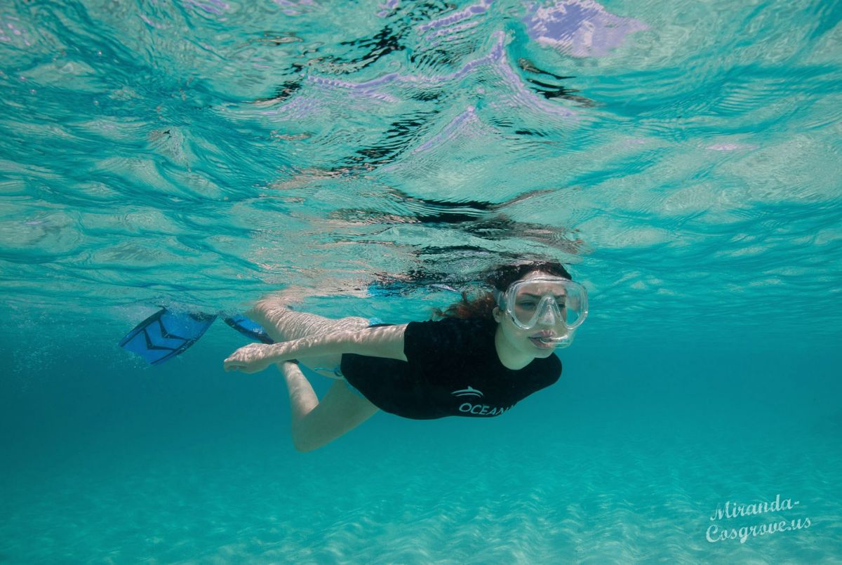 MIRANDA COSGROVE at Oceanup Swimming with Dolphins Campaign – HawtCelebs