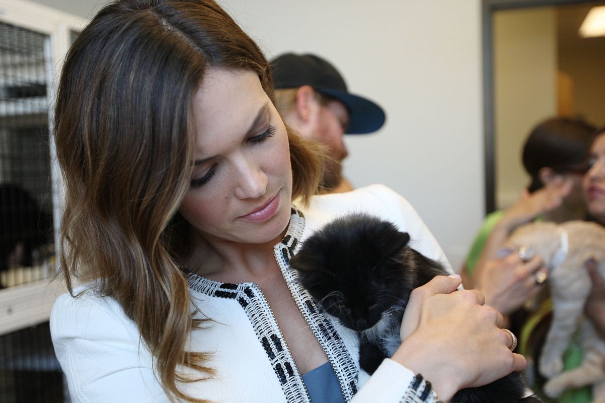 MANDY MOORE at Purina Cat Chow Building Better Lives Program in Denver ...
