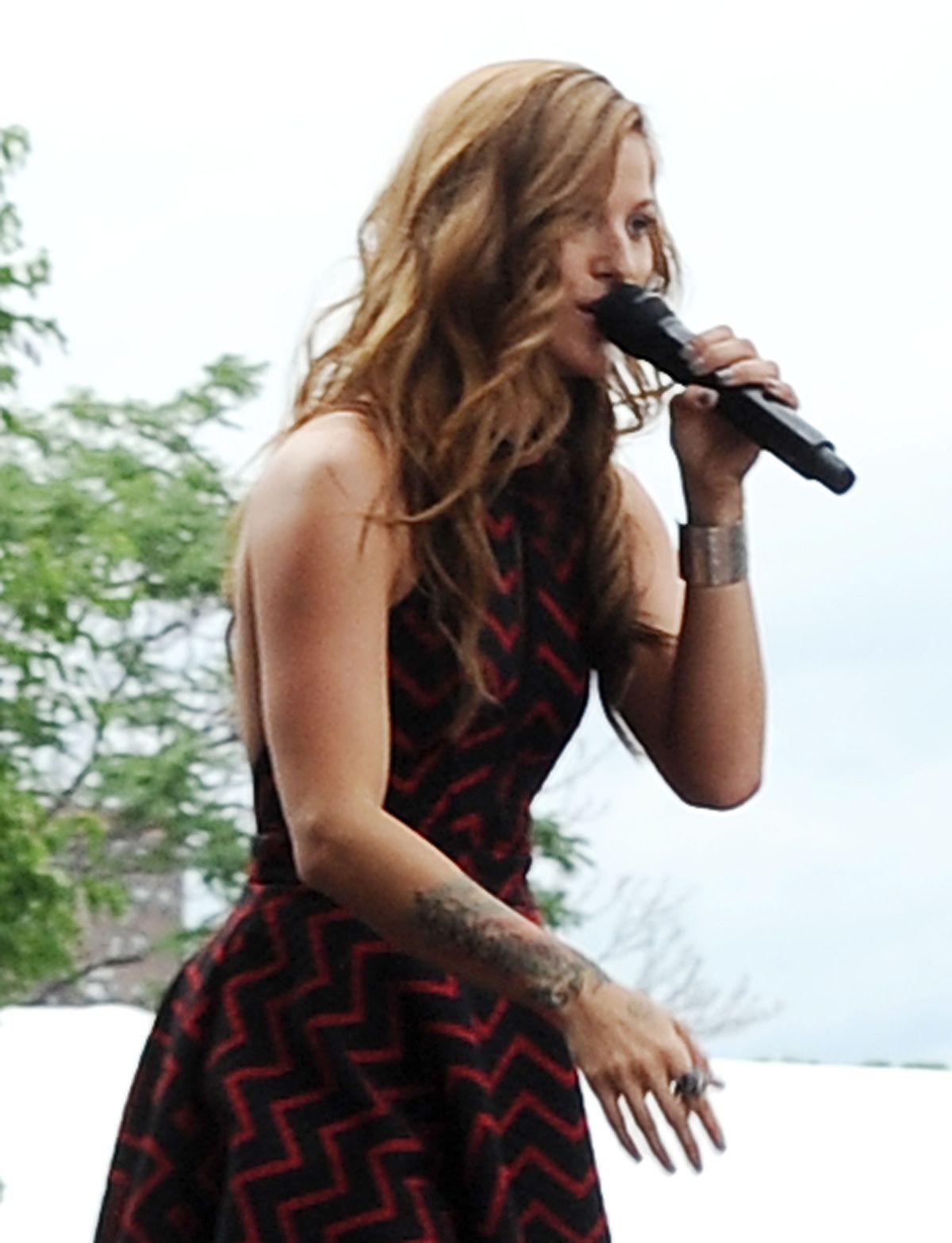 CASSADEE POPE Performs at 2015 Farmborough Country Music Festival in ...