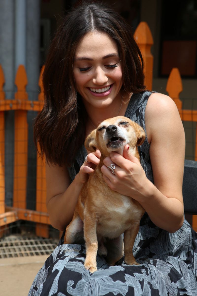 EMMY ROSSUM at Microsoft and Best Friends Animal Society Upgrade Your ...