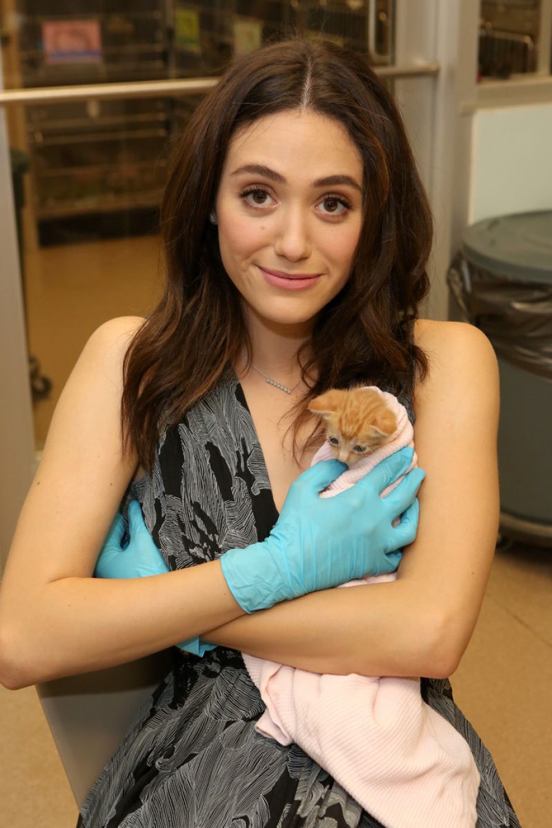 EMMY ROSSUM at Microsoft and Best Friends Animal Society Upgrade Your ...