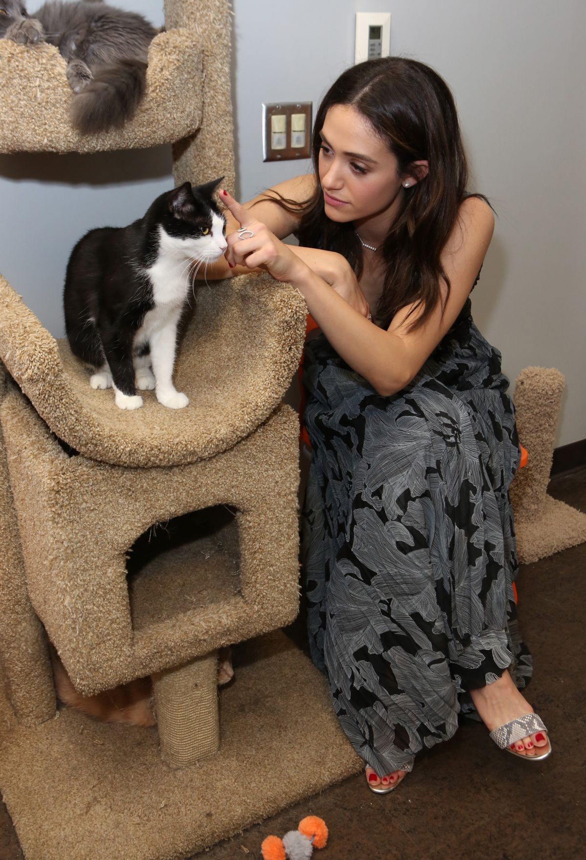 EMMY ROSSUM at Microsoft and Best Friends Animal Society Upgrade Your ...