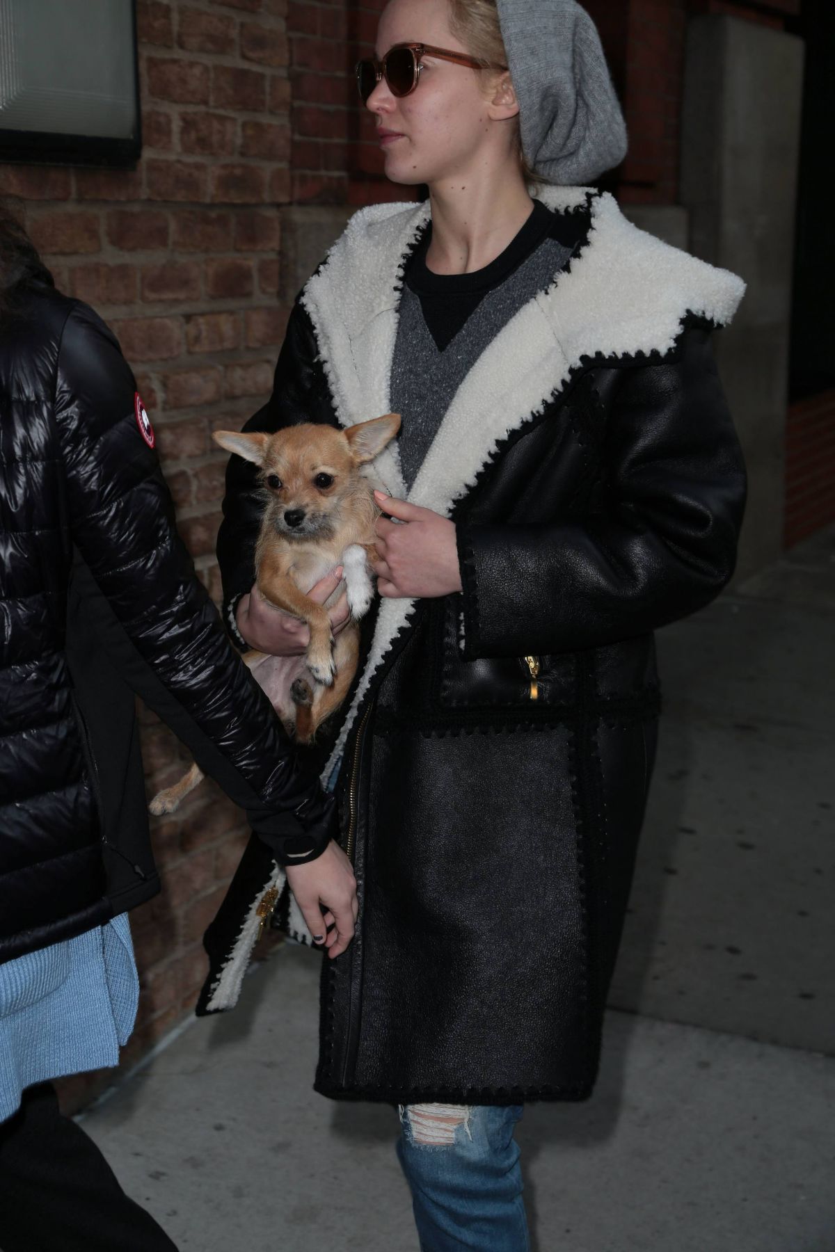 JENNIFER LAWRENCE Out with Her Dog in New York 11/25/2015 – HawtCelebs