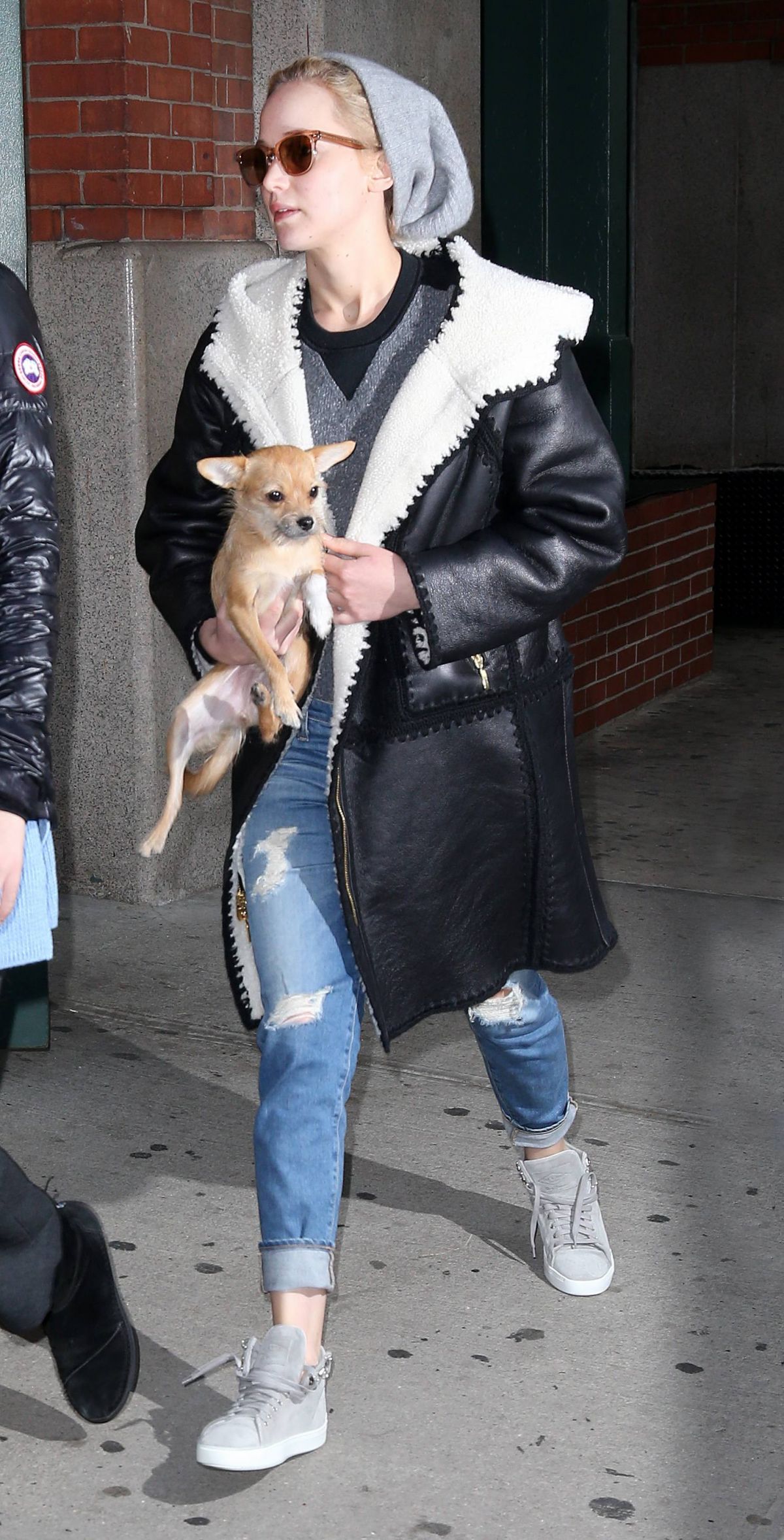 JENNIFER LAWRENCE Out with Her Dog in New York 11/25/2015 – HawtCelebs