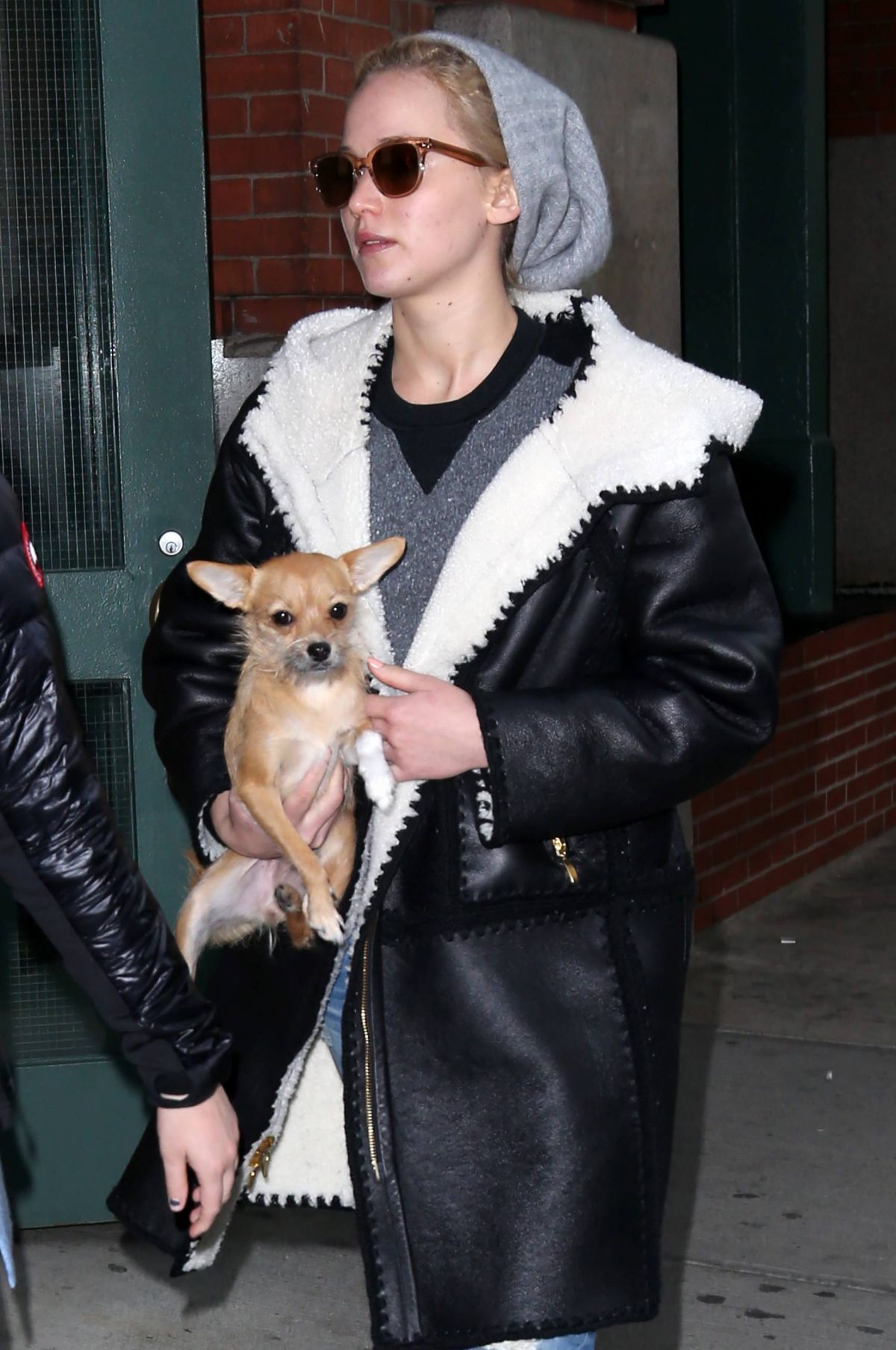 JENNIFER LAWRENCE Out with Her Dog in New York 11/25/2015 – HawtCelebs