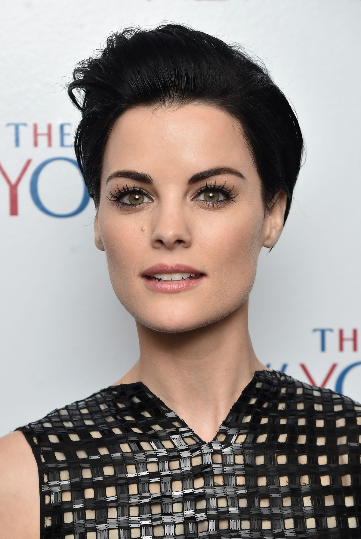 JAIMIE ALEXANDER at White House Correspondents Association Cocktail ...