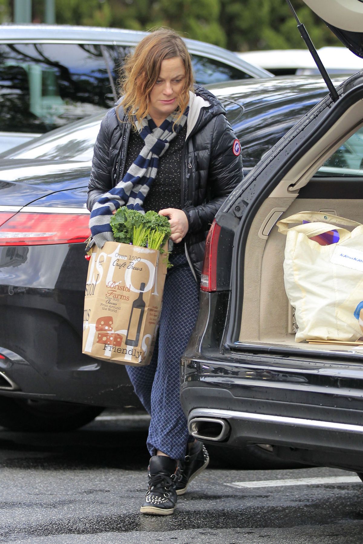 AMY POEHLER Out Shopping in Los Angeles 01/20/2017 – HawtCelebs