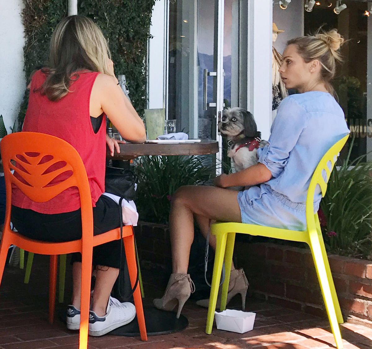 LAURA VANDERVOORT Walks Her Dog Out in West Hollywood 04/21/2017 ...