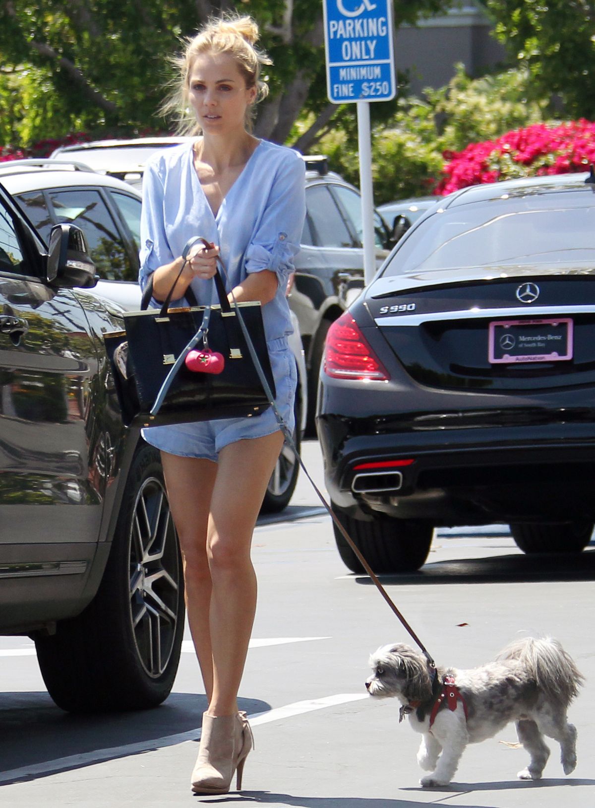 LAURA VANDERVOORT Walks Her Dog Out in West Hollywood 04/21/2017 ...