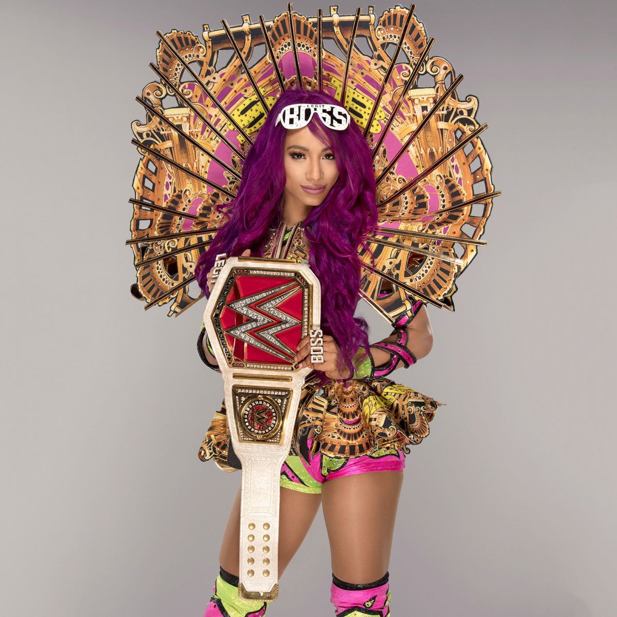 WWE – 2017 Champions – HawtCelebs