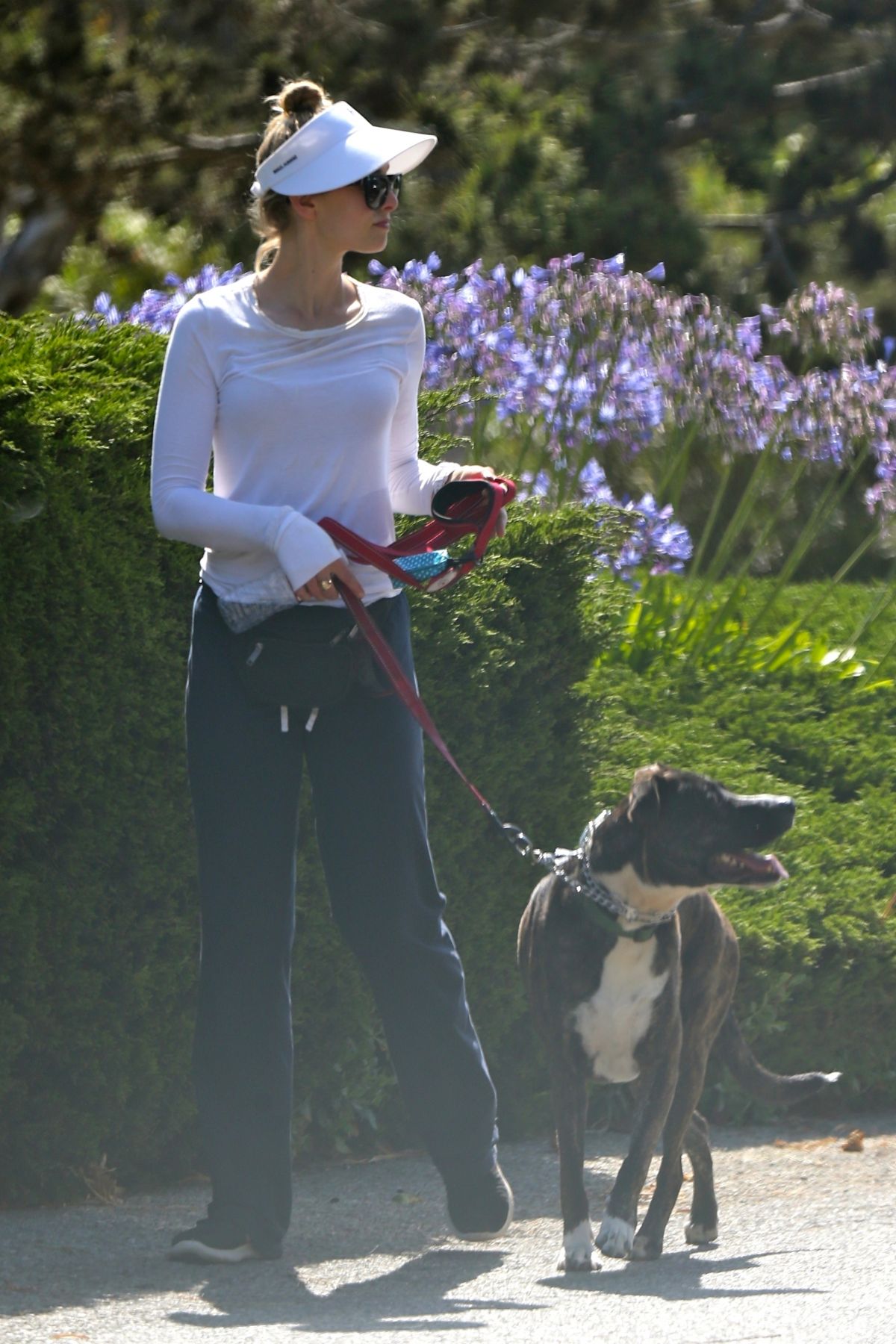 HEATHER GRAHAM Out with Her Dog in Malibu 07/07/2018 – HawtCelebs
