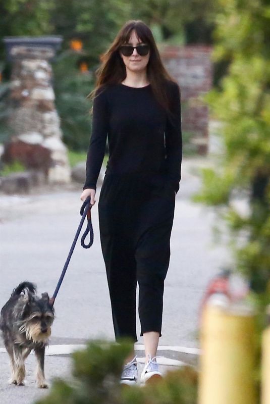 DAKOTA JOHNSON Out with Her Dog in Malibu 01/27/2019 – HawtCelebs