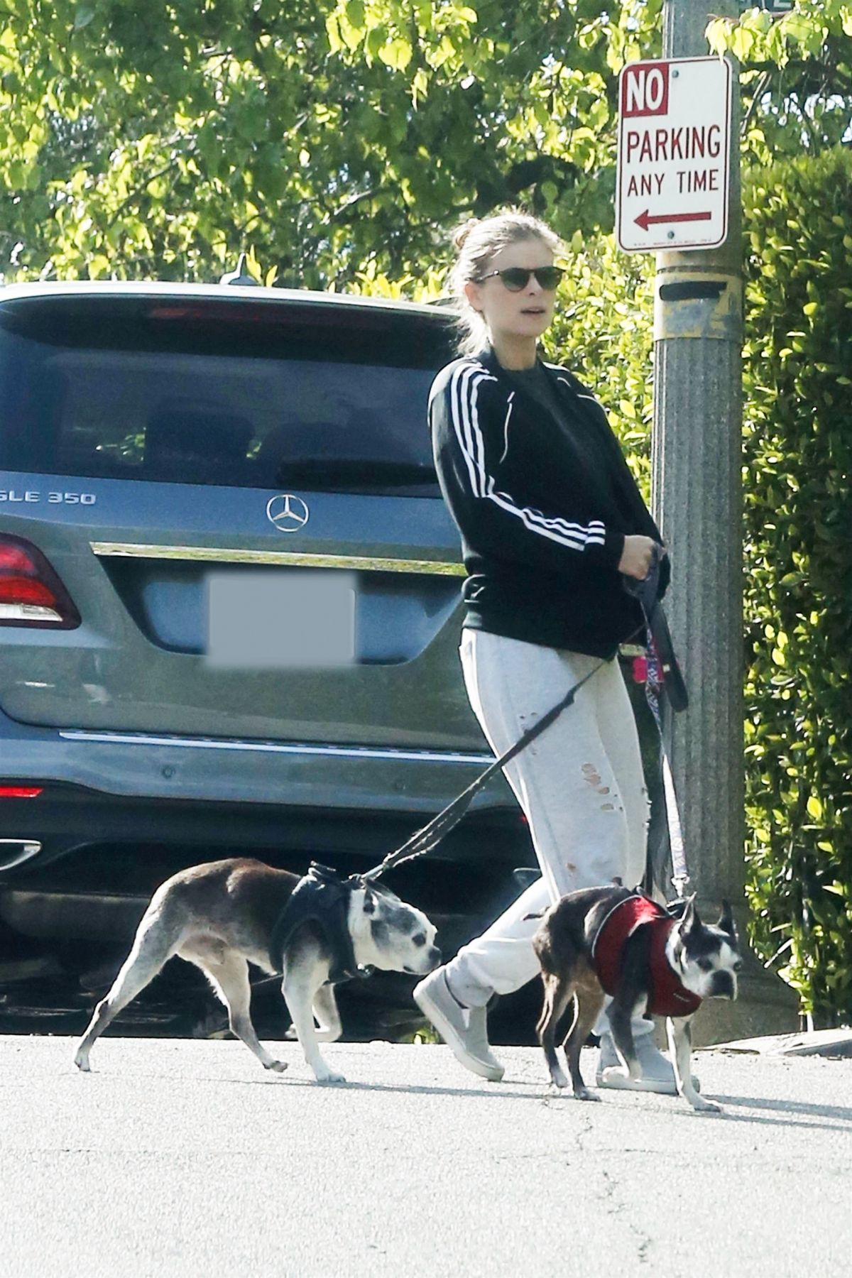 KATE MARA Out with Her Dogs in Los Angeles 04/07/2019 – HawtCelebs