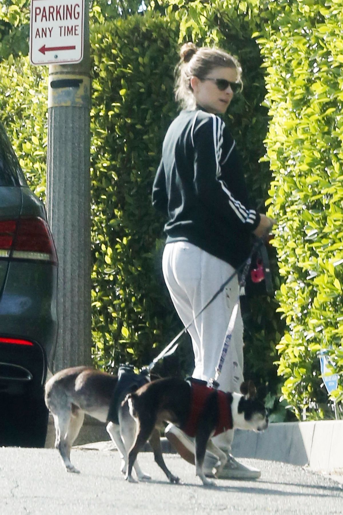 KATE MARA Out with Her Dogs in Los Angeles 04/07/2019 – HawtCelebs