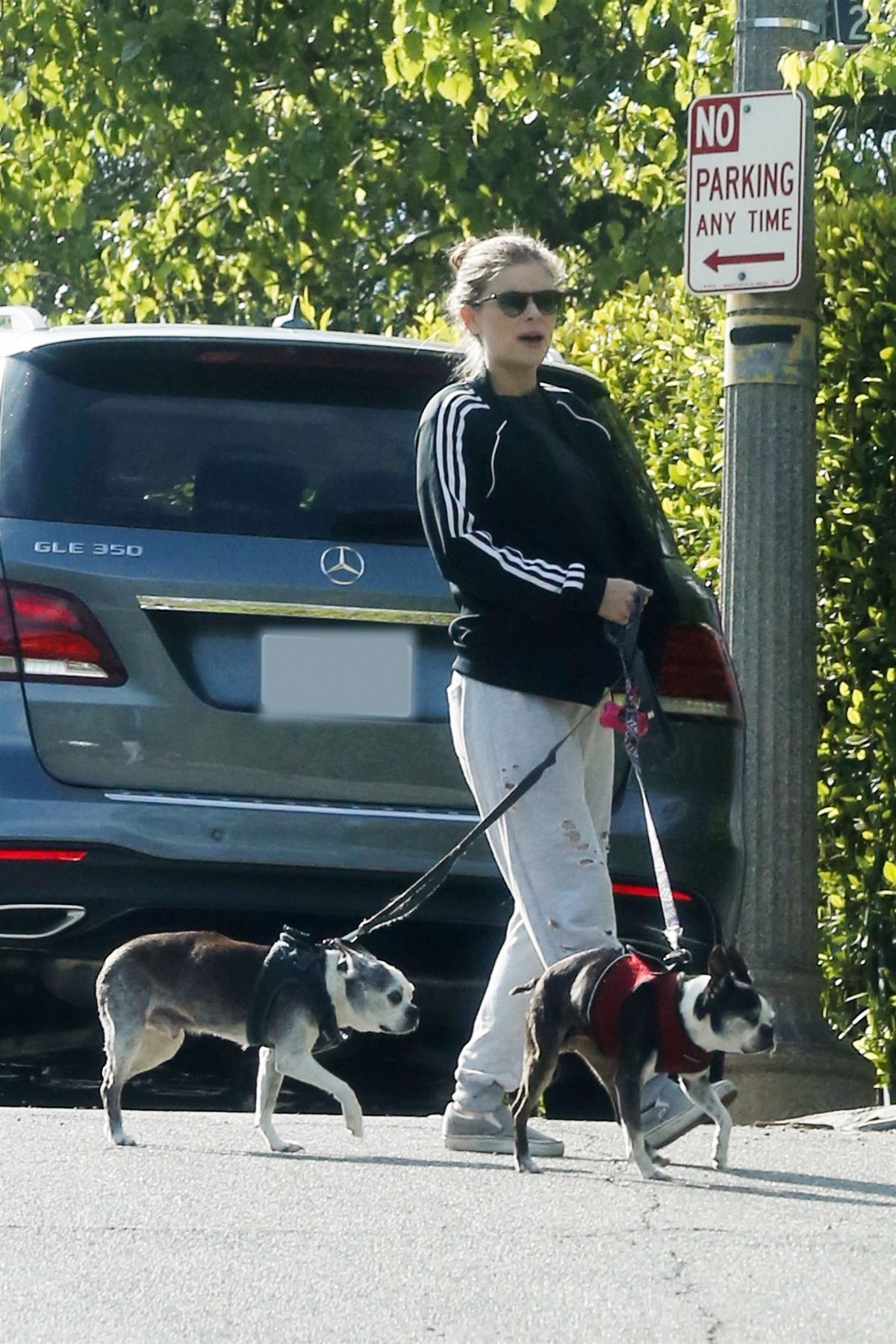KATE MARA Out with Her Dogs in Los Angeles 04/07/2019 – HawtCelebs