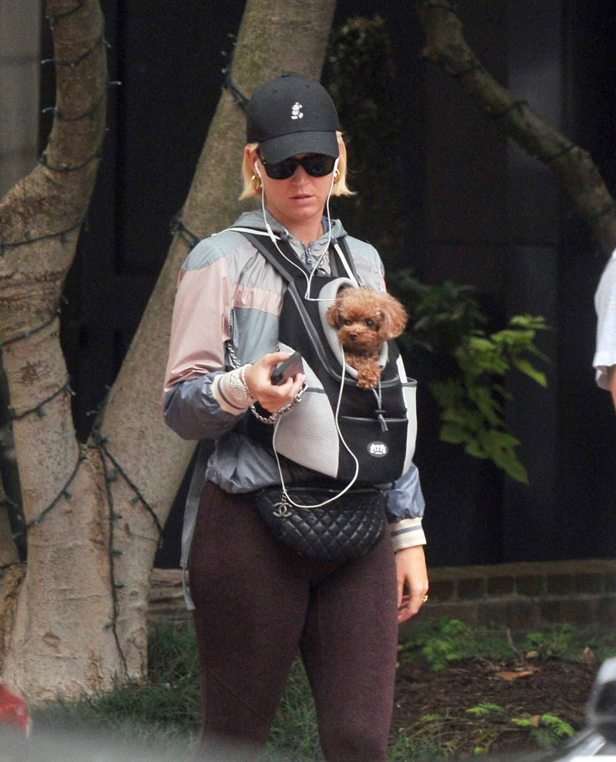 KATY PERRY Out with Her Poodle Nugget in Washington D.C. 10/13/2019 ...