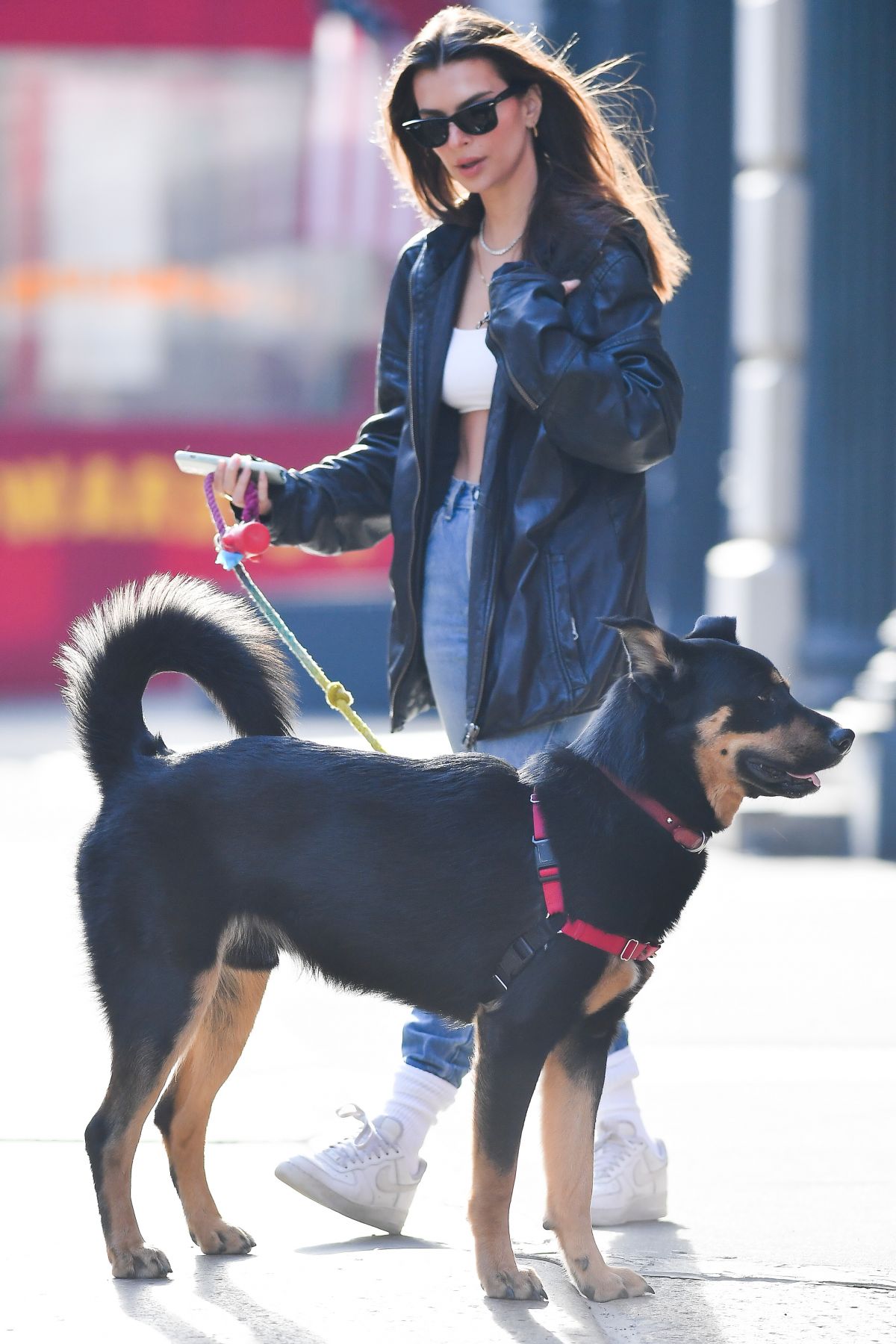EMILY RATAJKOWSKI Out with Her Dog Colombo in New York 01/24/2020 ...