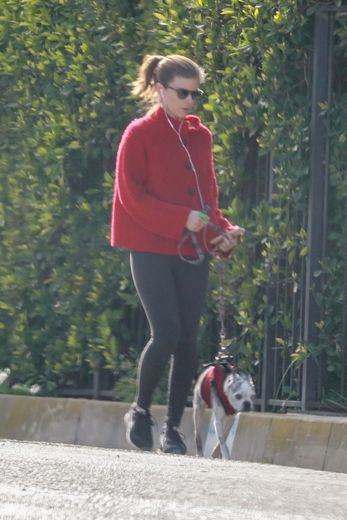 KATE MARA Out with Her DOg in Los Feliz 03/20/2020 – HawtCelebs