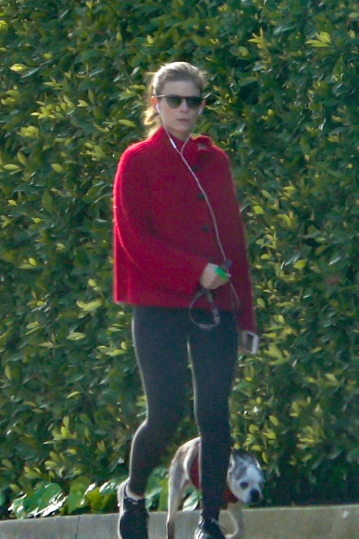 KATE MARA Out with Her DOg in Los Feliz 03/20/2020 – HawtCelebs