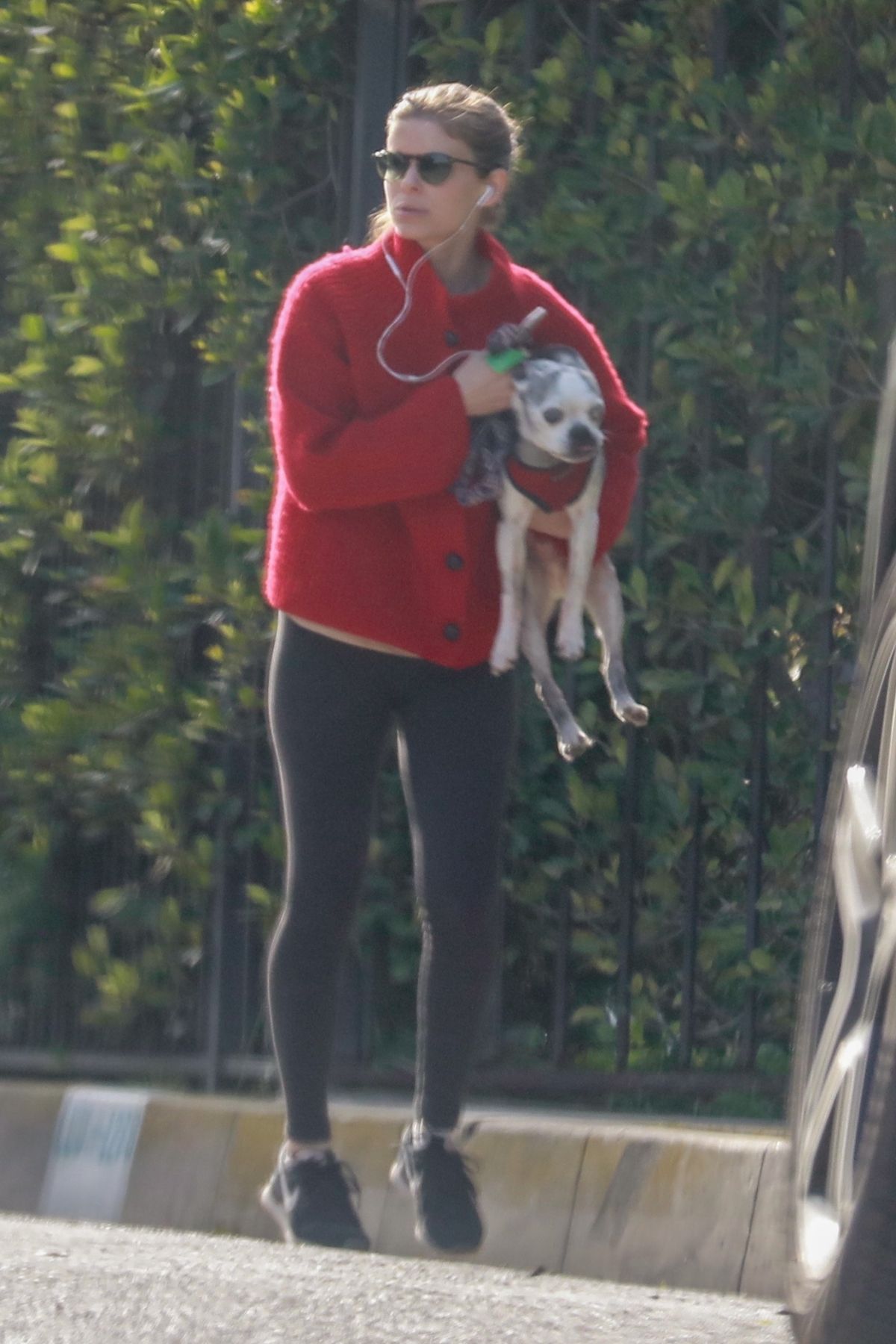 KATE MARA Out with Her DOg in Los Feliz 03/20/2020 – HawtCelebs