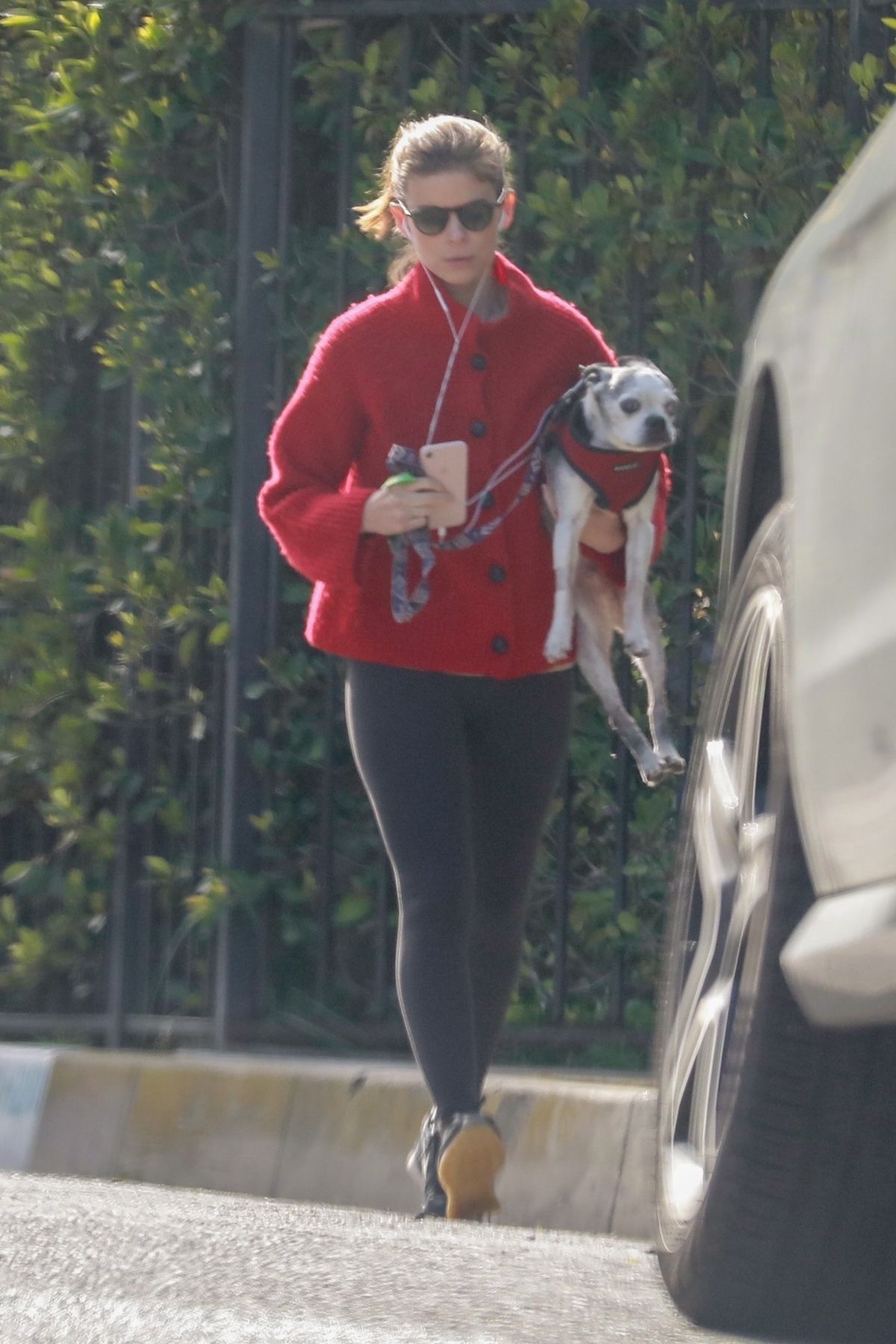 KATE MARA Out with Her DOg in Los Feliz 03/20/2020 – HawtCelebs