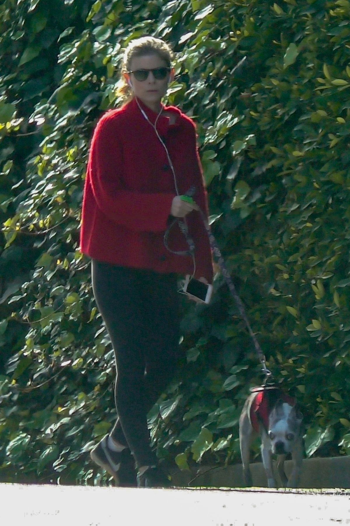 KATE MARA Out with Her DOg in Los Feliz 03/20/2020 – HawtCelebs