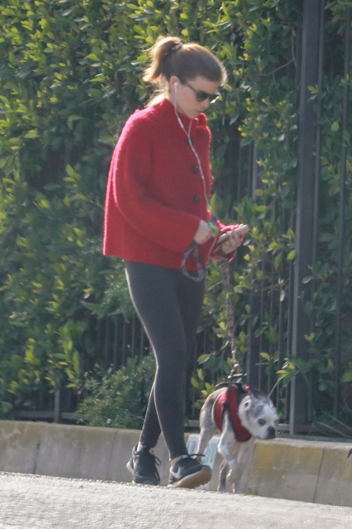 KATE MARA Out with Her DOg in Los Feliz 03/20/2020 – HawtCelebs