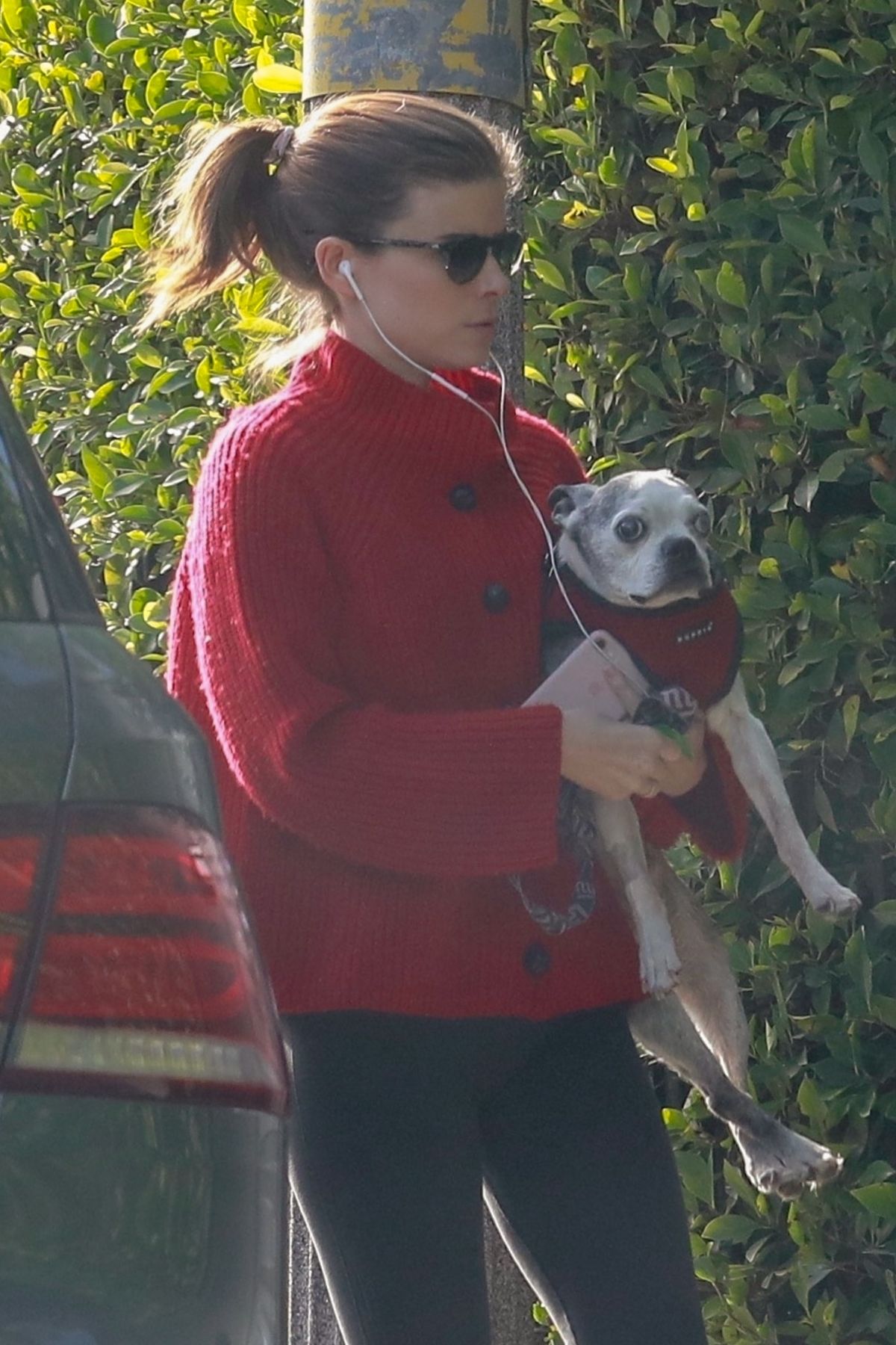 KATE MARA Out with Her DOg in Los Feliz 03/20/2020 – HawtCelebs