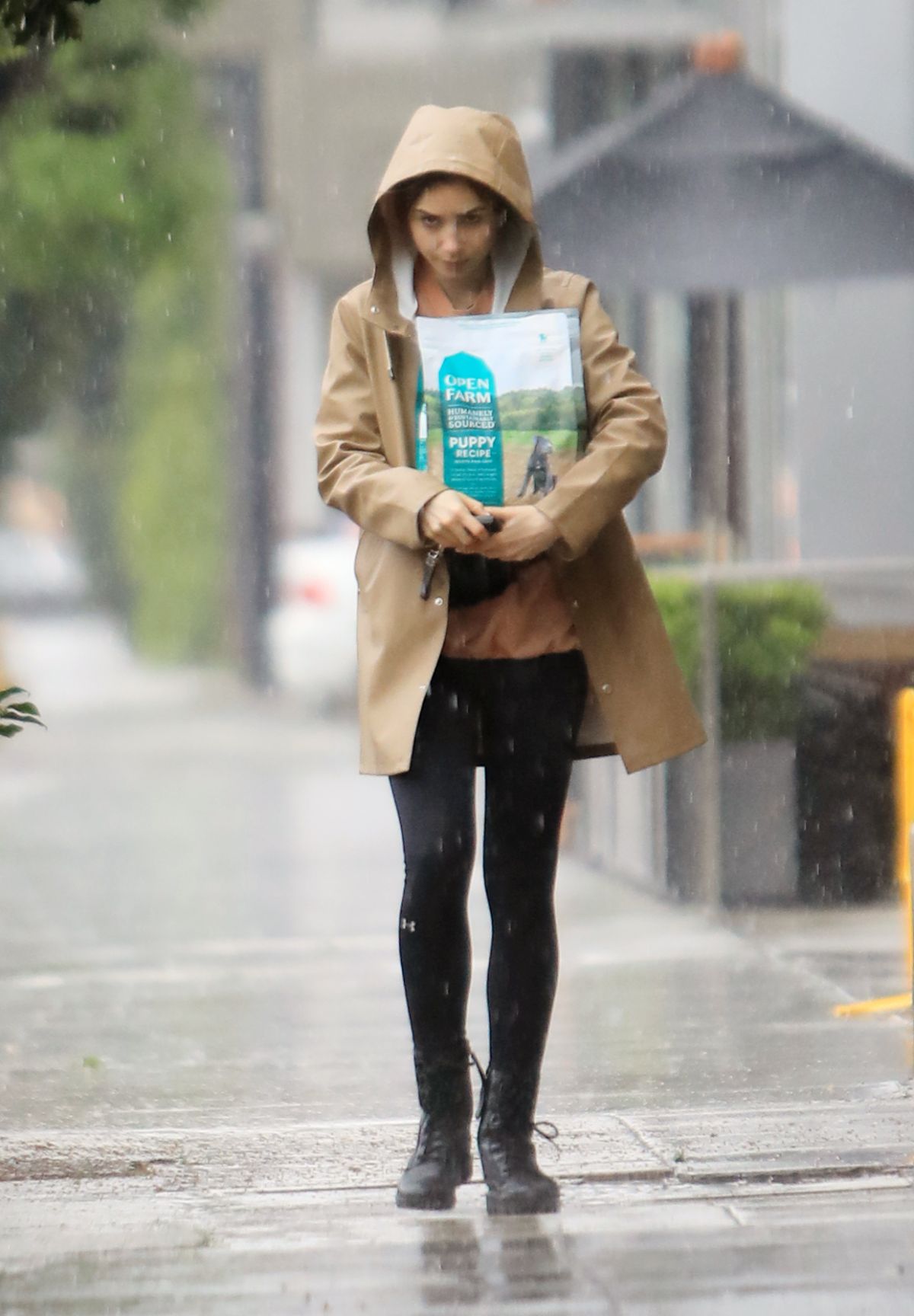 LILY COLLINS Out in the Rain to Pick Up Dog Food in Los Angeles 03/13 ...