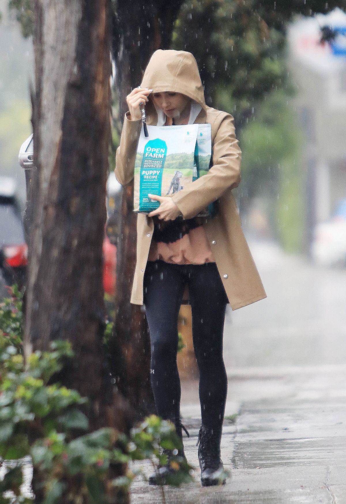 LILY COLLINS Out in the Rain to Pick Up Dog Food in Los Angeles 03/13 ...