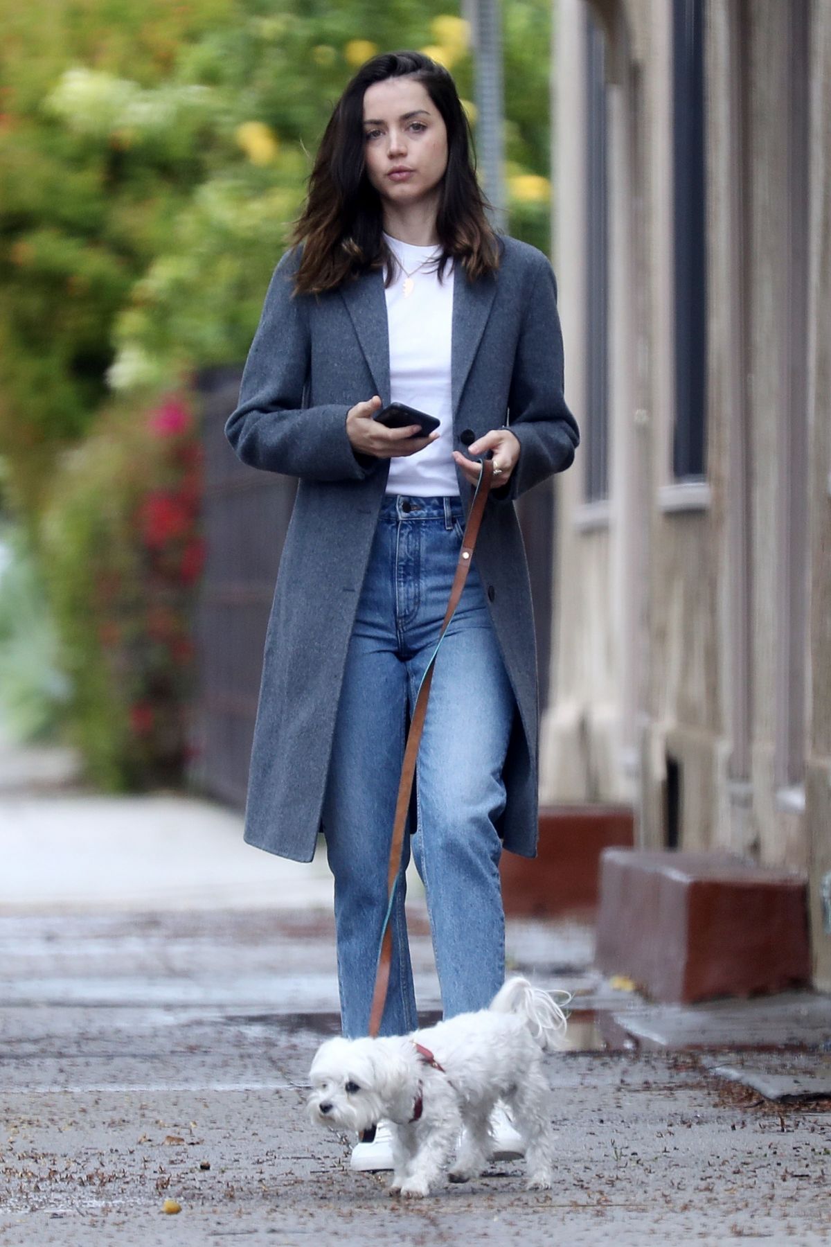 ANA DE ARMAS Out with Her Dog in Los Angeles 04/11/2020 – HawtCelebs