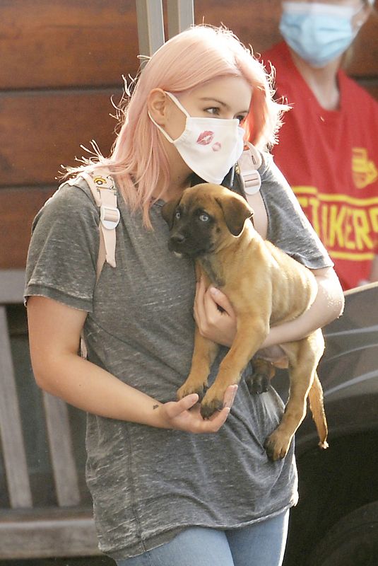 ARIEL WINTER with her Dog at Sherman Oaks Animal Hospital in Los ...