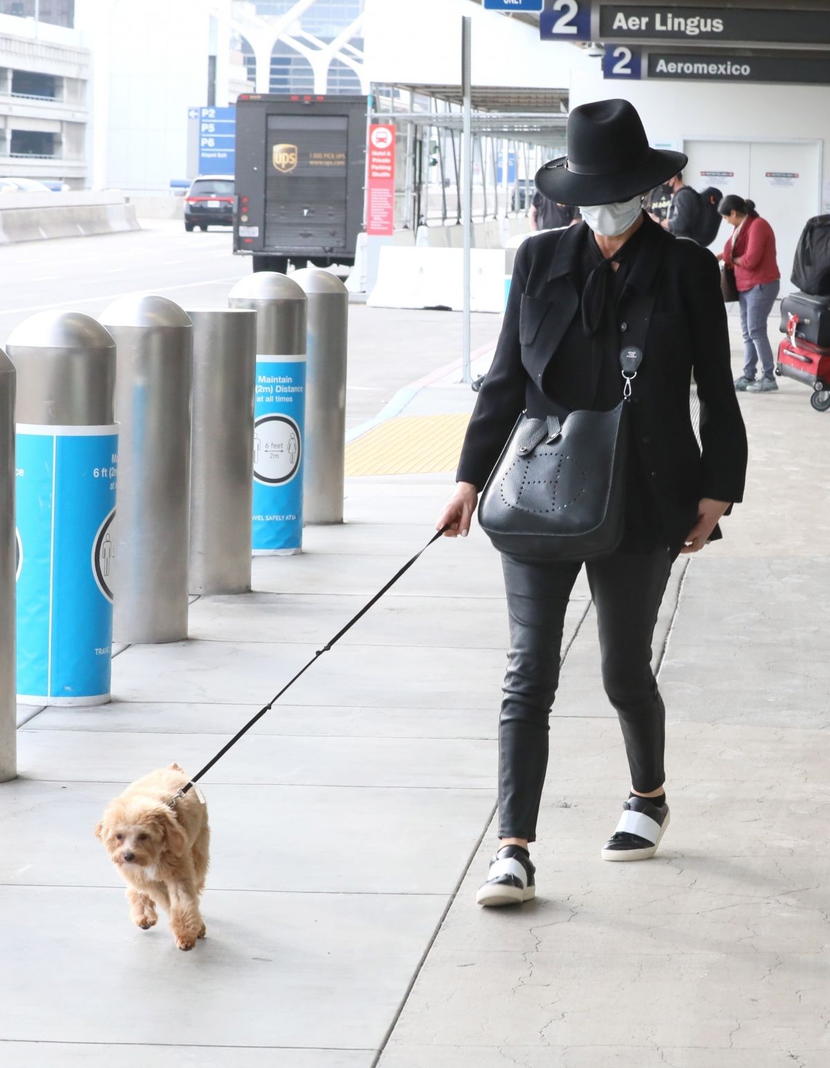 CATHERINE ZETA JONES Out with Her Dog in Los Angeles 11/20/2020 ...