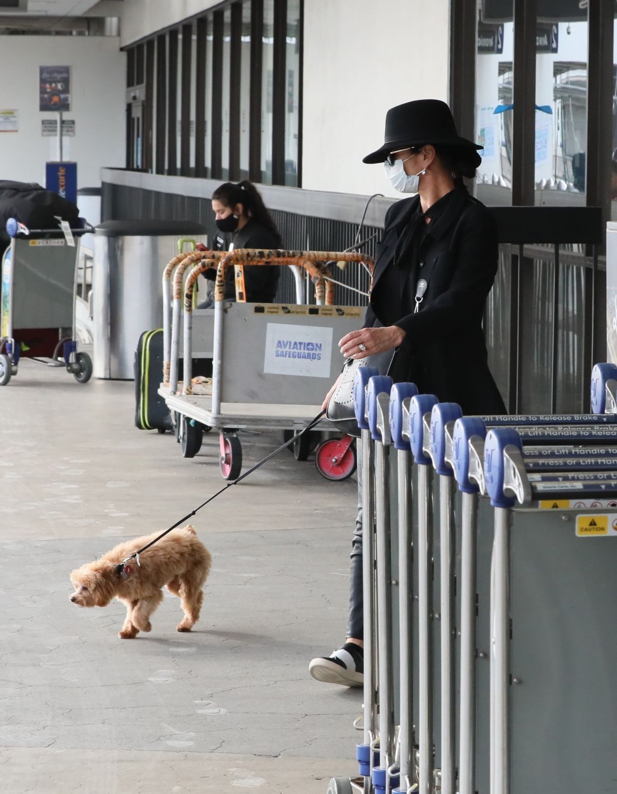 CATHERINE ZETA JONES Out with Her Dog in Los Angeles 11/20/2020 ...