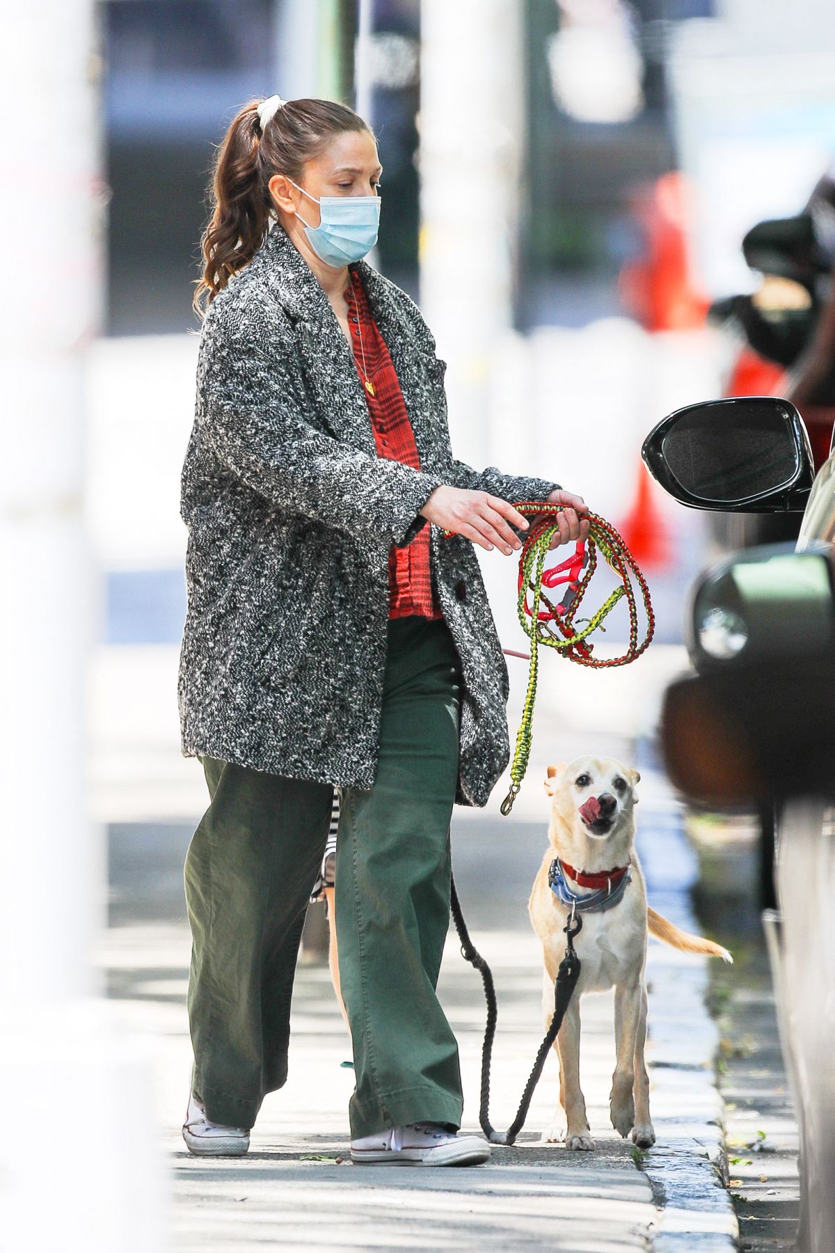 DREW BARRYMORE Out with Her Dog in New York 05/17/2021 – HawtCelebs