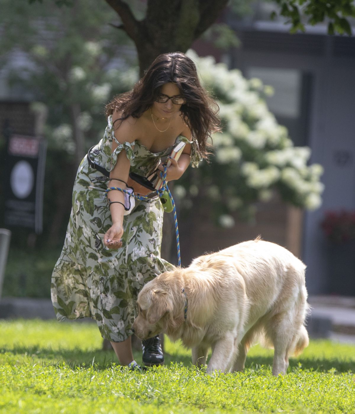 CAMILA CABELLO and Shawn Mendes Out with Their Dog at a Park in Toronto ...