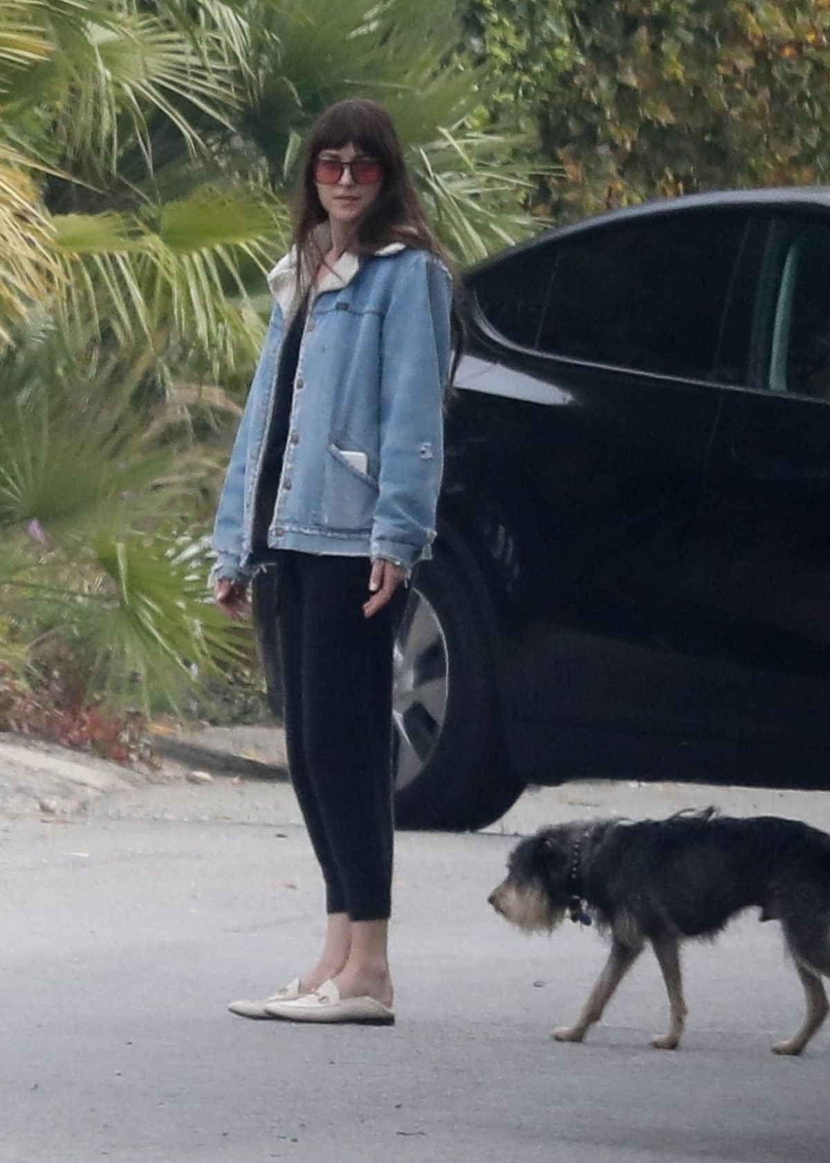 DAKOTA JOHNSON Out with Her Dog in Malibu 10/30/2021 – HawtCelebs