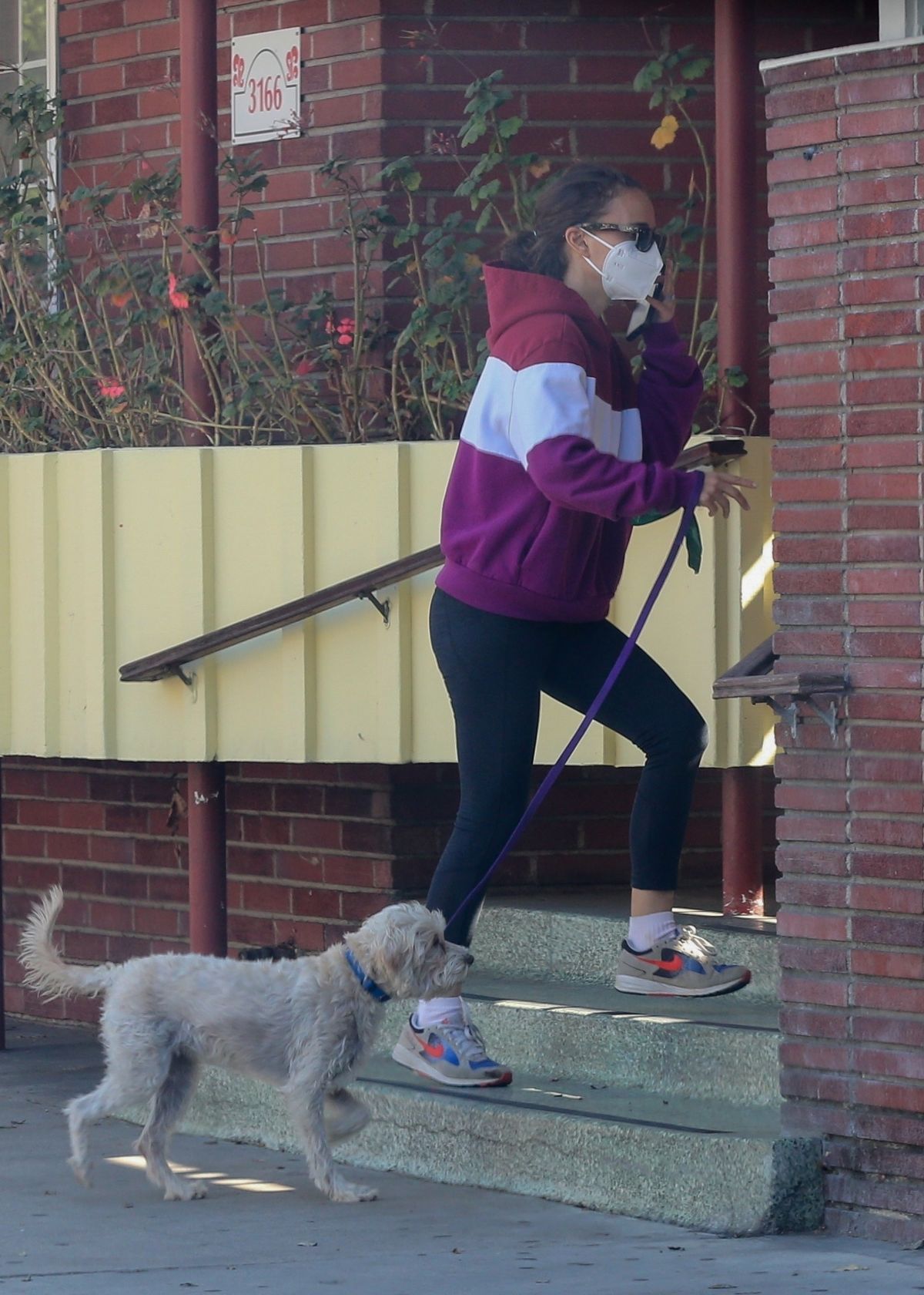 NATALIE PORTMAN Take Her Dog to Veterinarian in Los Feliz 10/22/2021 ...