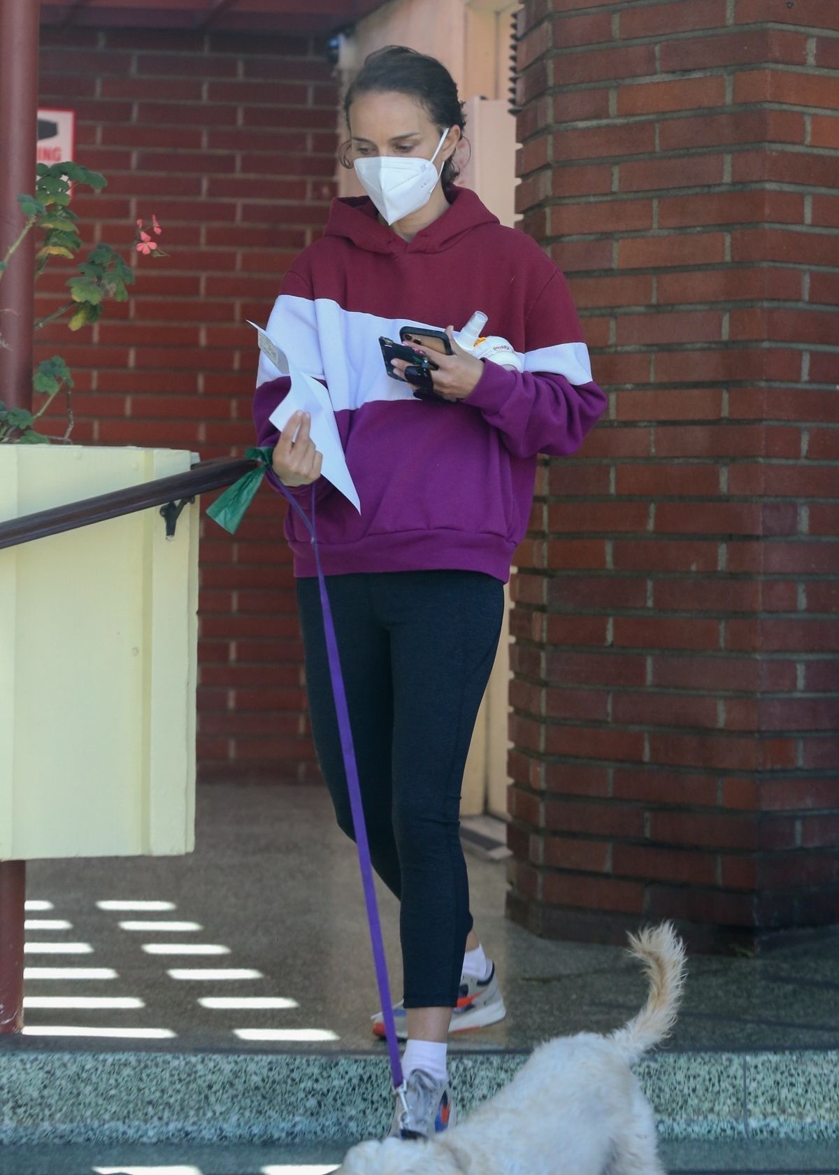 NATALIE PORTMAN Take Her Dog to Veterinarian in Los Feliz 10/22/2021 ...
