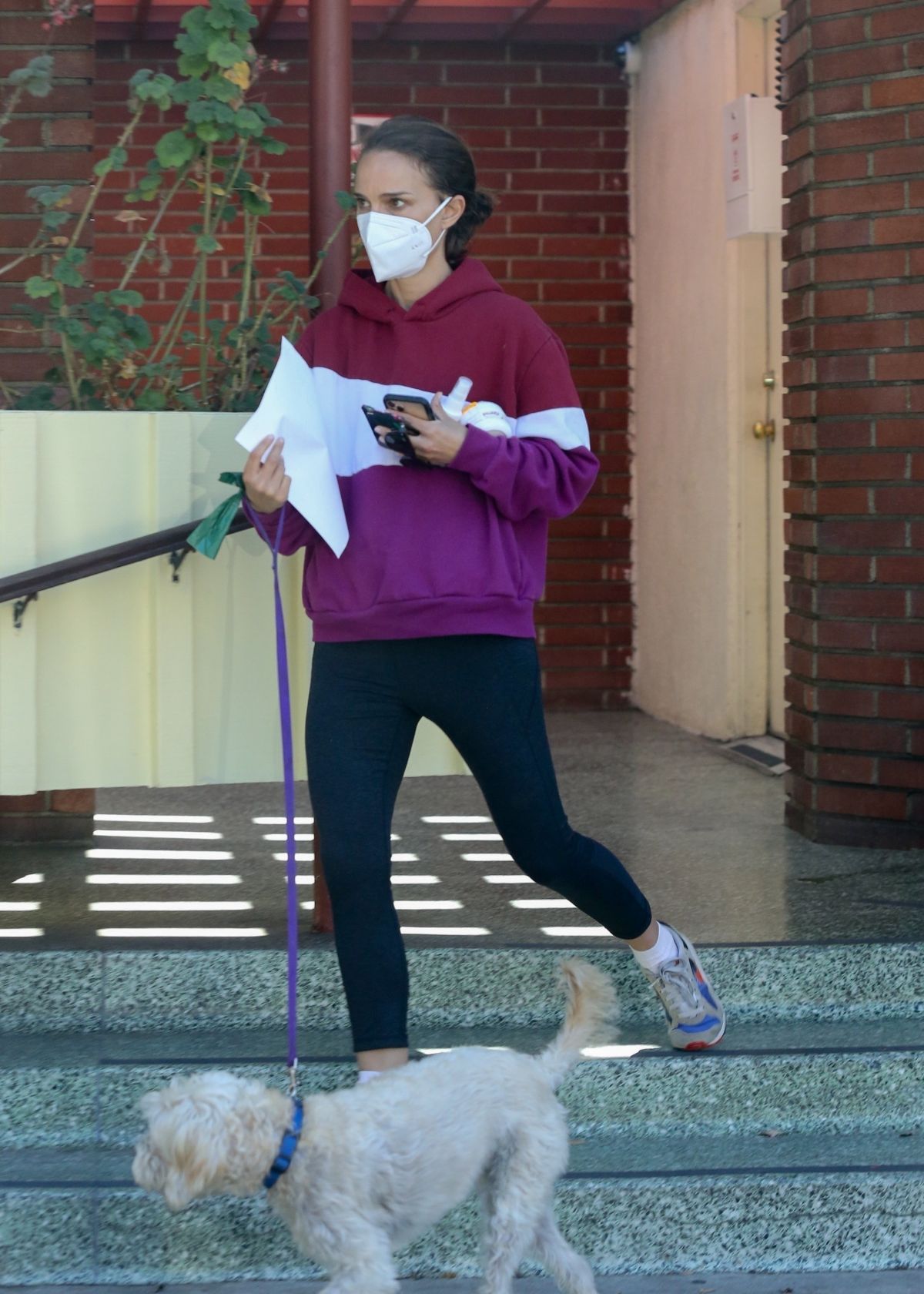 NATALIE PORTMAN Take Her Dog to Veterinarian in Los Feliz 10/22/2021 ...