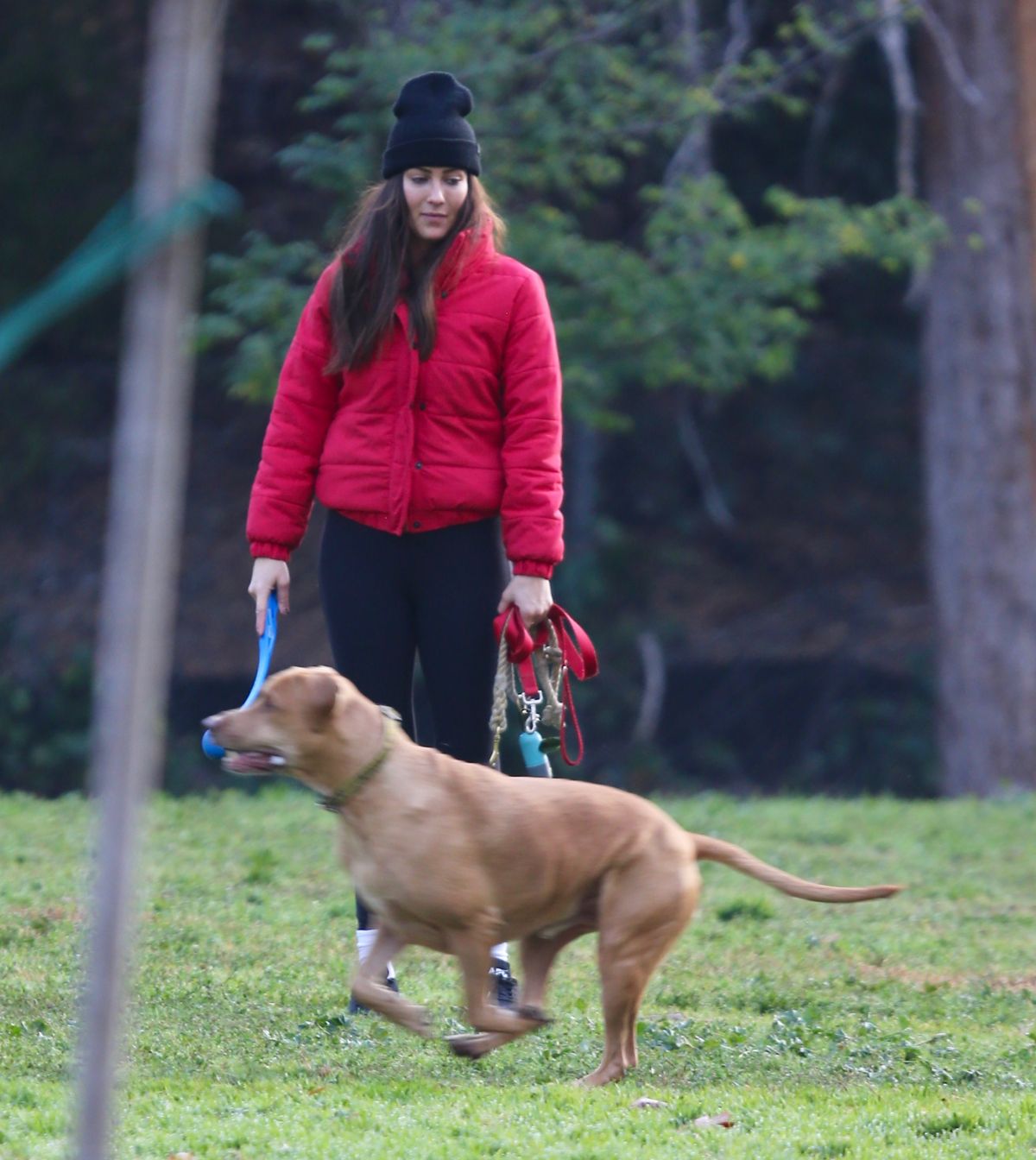 BECCA KUFRIN Out with Her Dogs at a Dog Park in Los Angeles 12/13/2021 ...