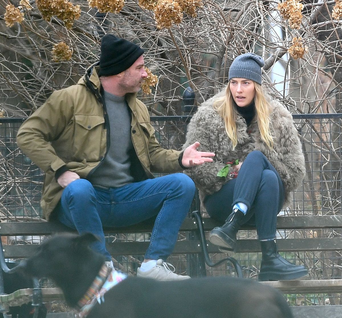 TAYLOR NEISEN and Liev Schreiber at a Dog Park in New York 01/25/2022 ...