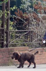 ZAWE ASHTON Out with her Dog Bobby in London 01/28/2022 – HawtCelebs