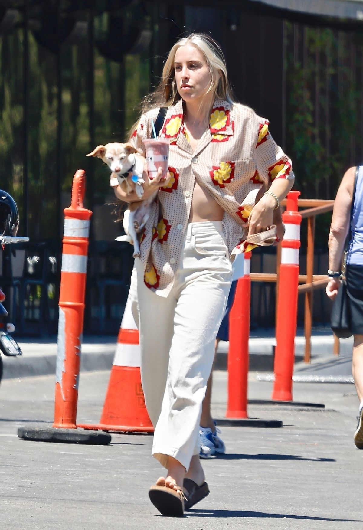 SCOUT WILLIS Out Shopping with Her Dog in Studio City 06/23/2022 ...