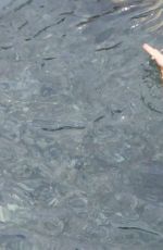 KATY PERRY in Swimsuit at a Beach in Positano 08/26/2022 – HawtCelebs