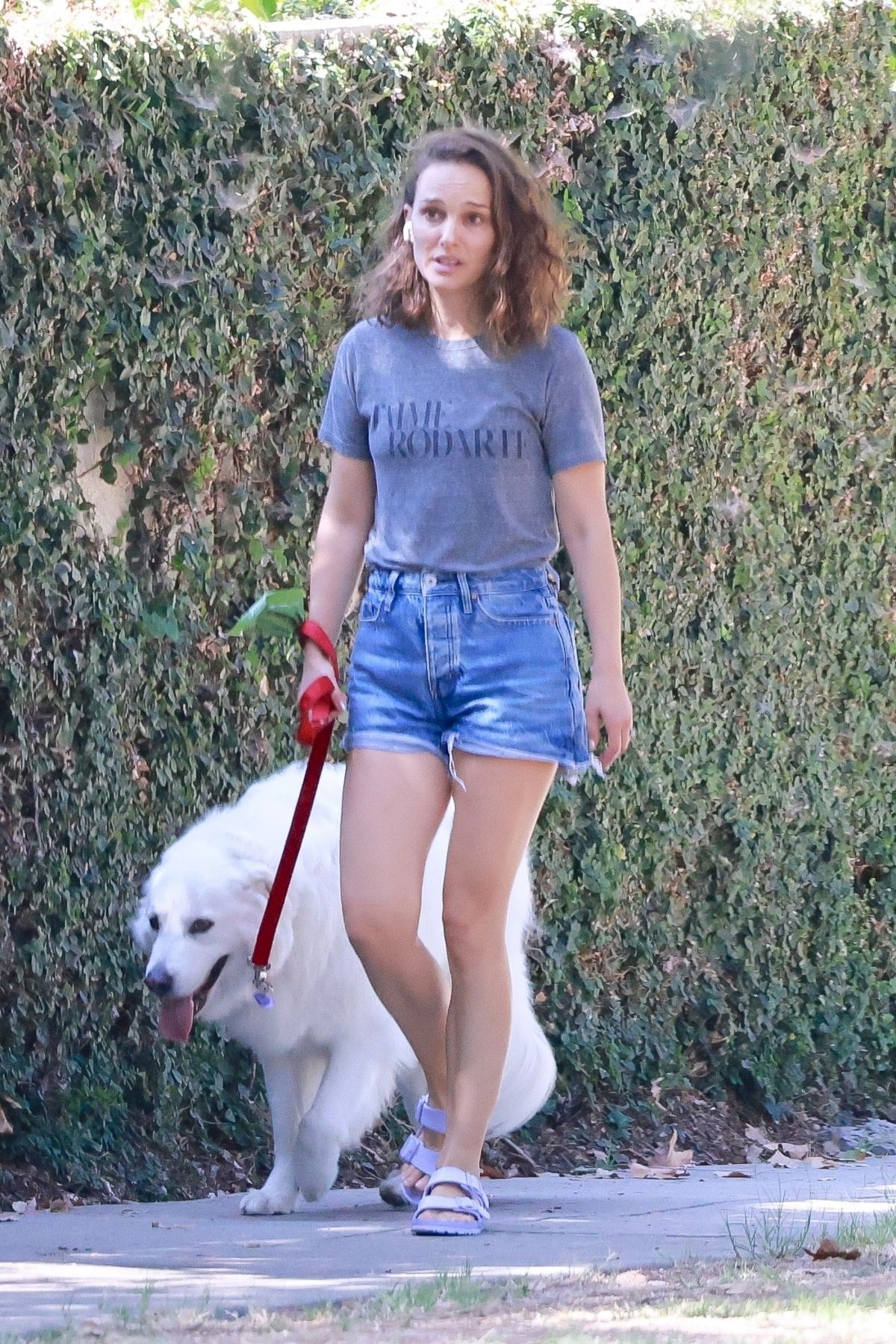 NATALIE PORTMAN Out with Her Dog in Los Feliz 08/29/2022 – HawtCelebs