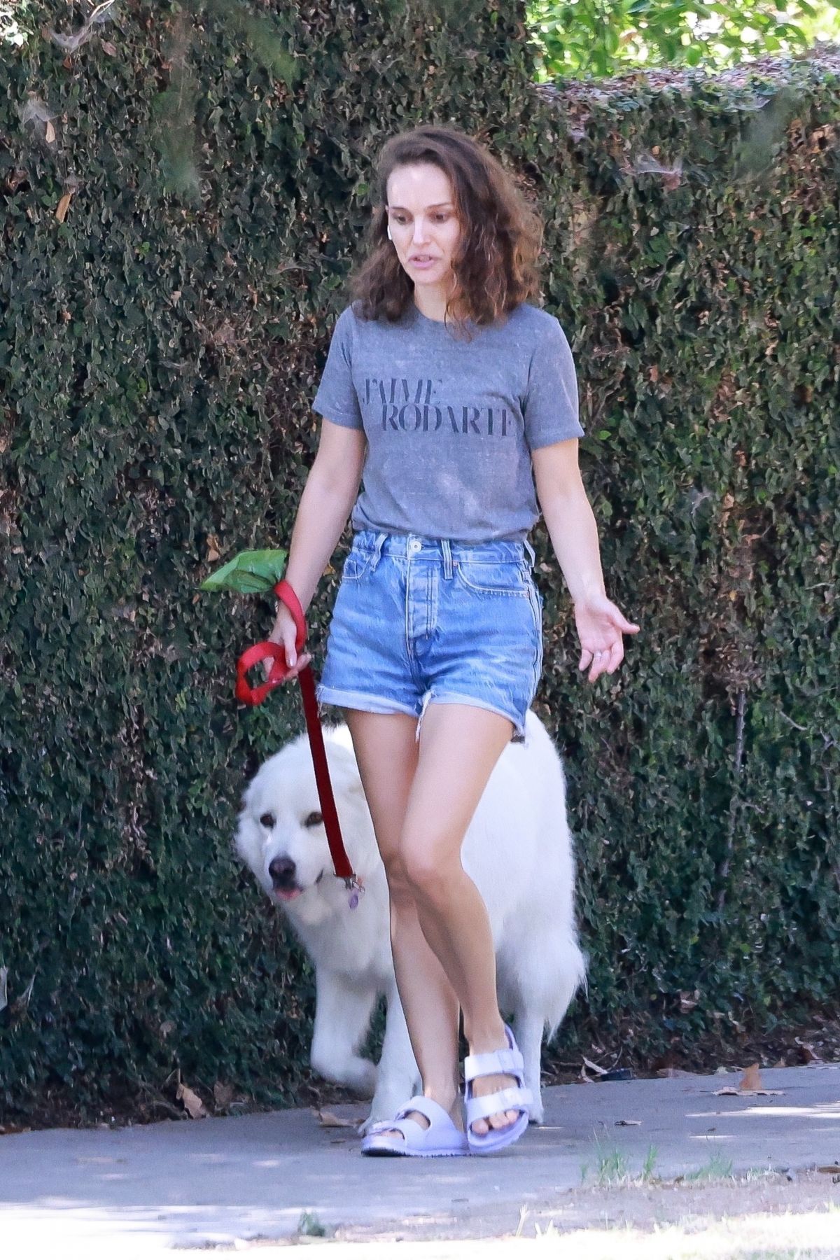 NATALIE PORTMAN Out with Her Dog in Los Feliz 08/29/2022 – HawtCelebs