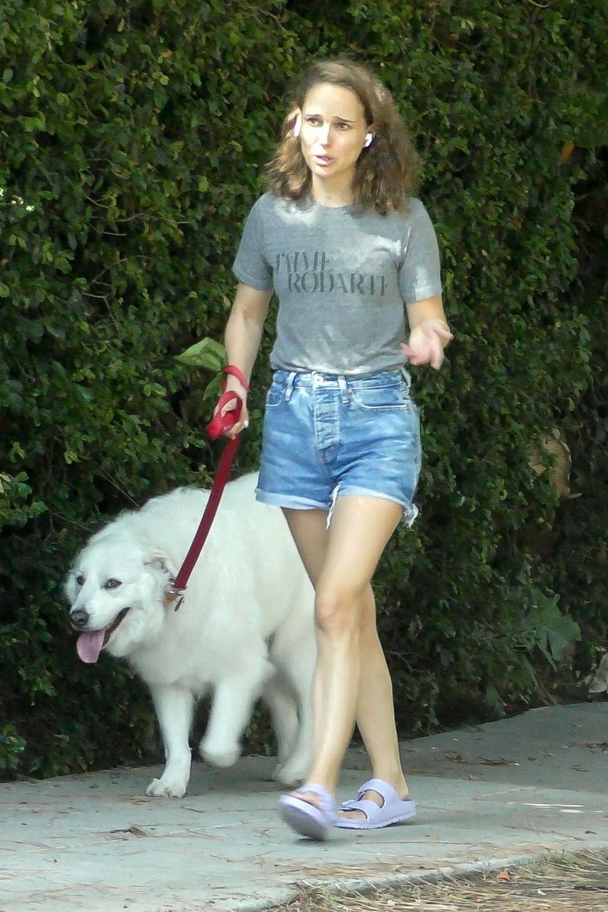 NATALIE PORTMAN Out with Her Dog in Los Feliz 08/29/2022 – HawtCelebs