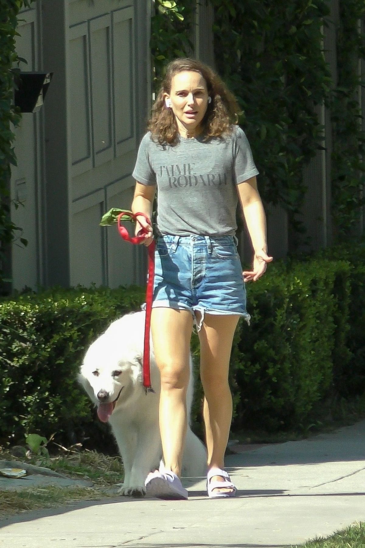 NATALIE PORTMAN Out with Her Dog in Los Feliz 08/29/2022 – HawtCelebs