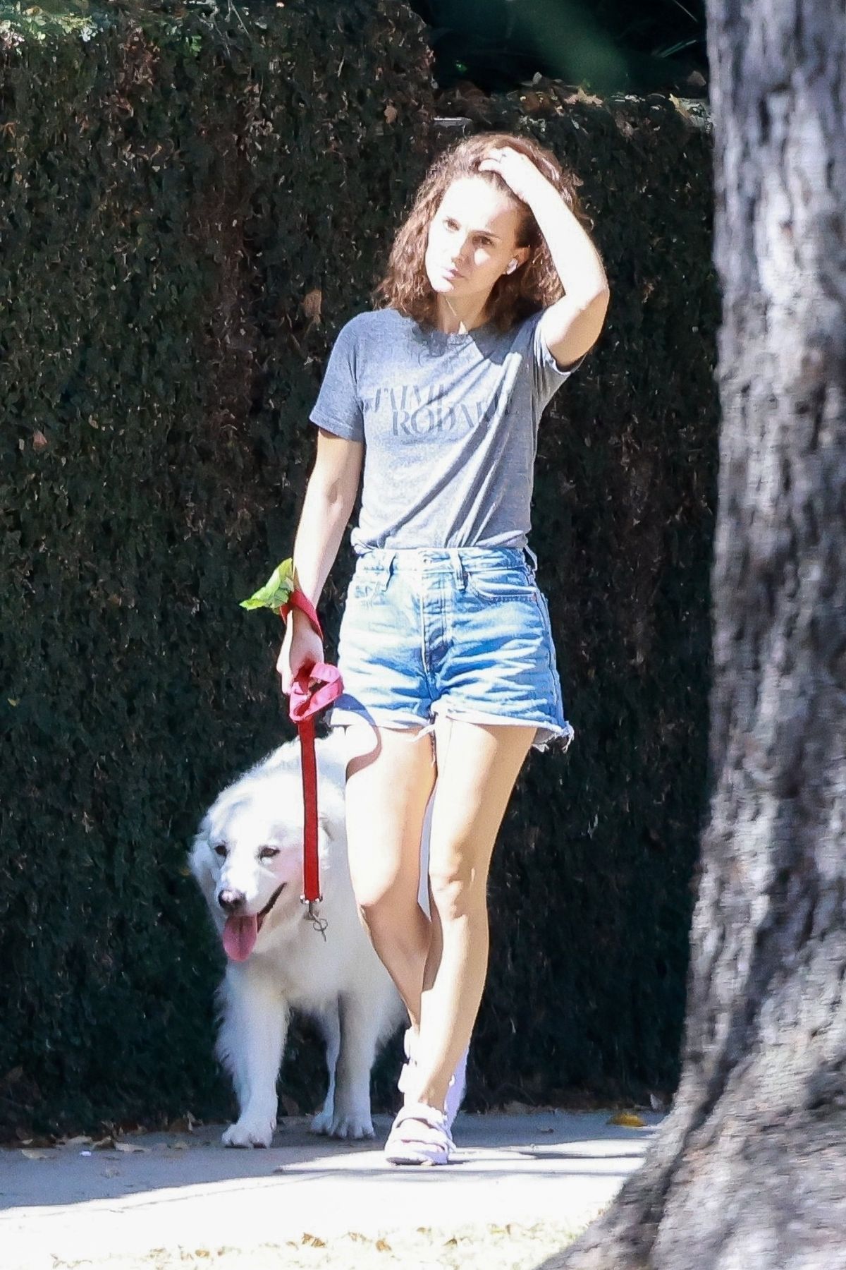 NATALIE PORTMAN Out with Her Dog in Los Feliz 08/29/2022 – HawtCelebs